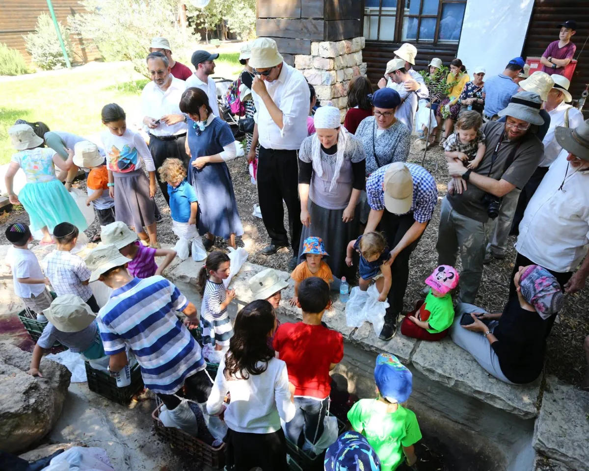 Israel's Shield Emergency Appeal: Unite to Protect Lives.