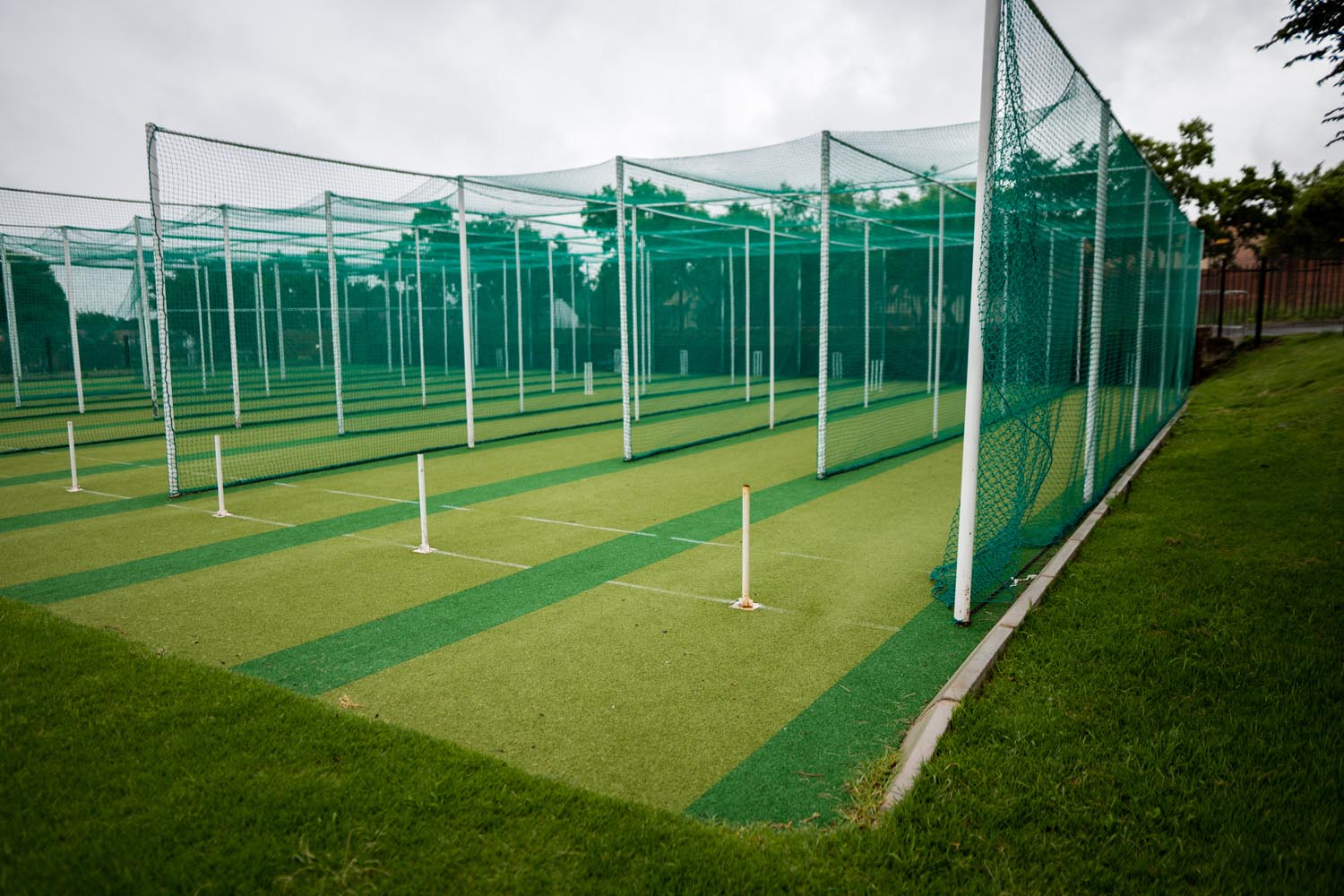 Artificial Cricket Turf and Sports Surfaces - Belgotex Sport