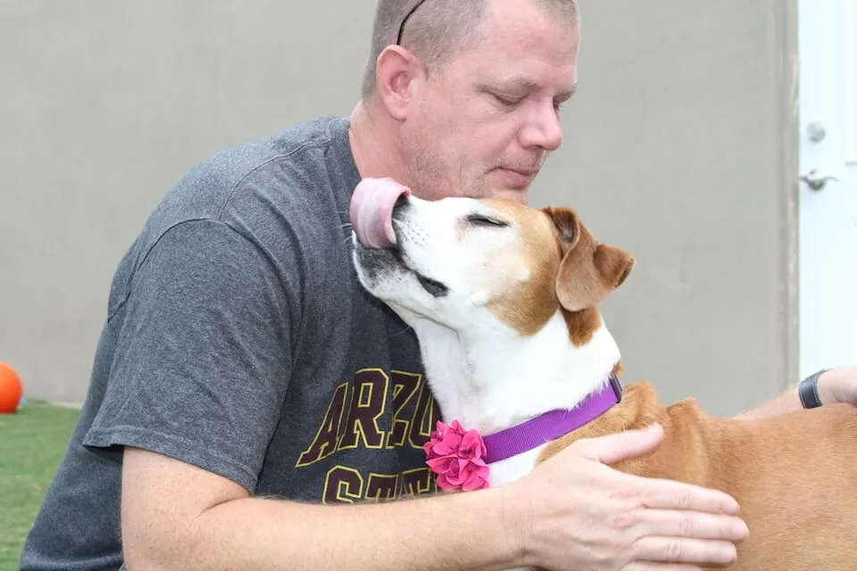 Hospice sponsor & planned giving programs - Forever Loved