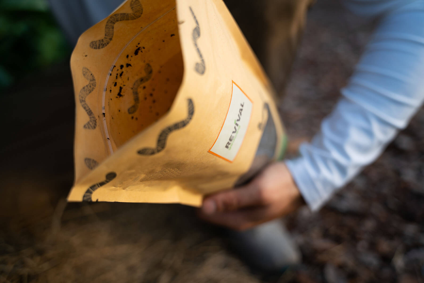 Worm Poop 101: What It Looks Like & Why It's Beneficial