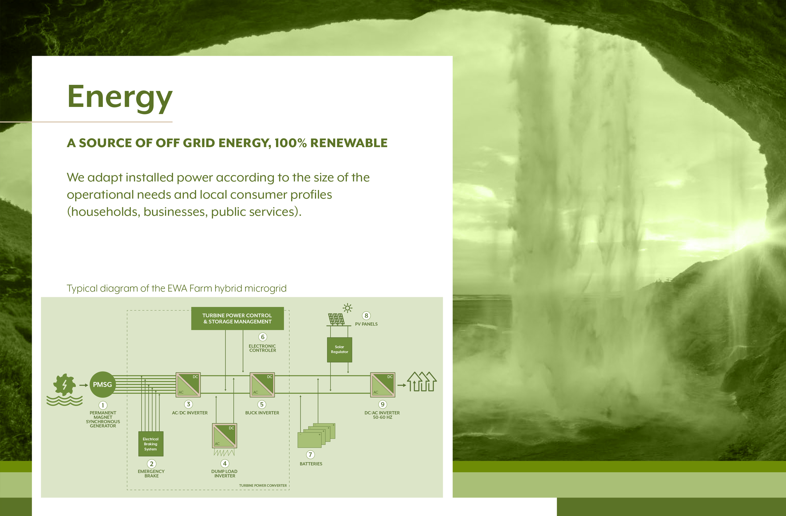 Amorimage - Graphic design, Video and Branding