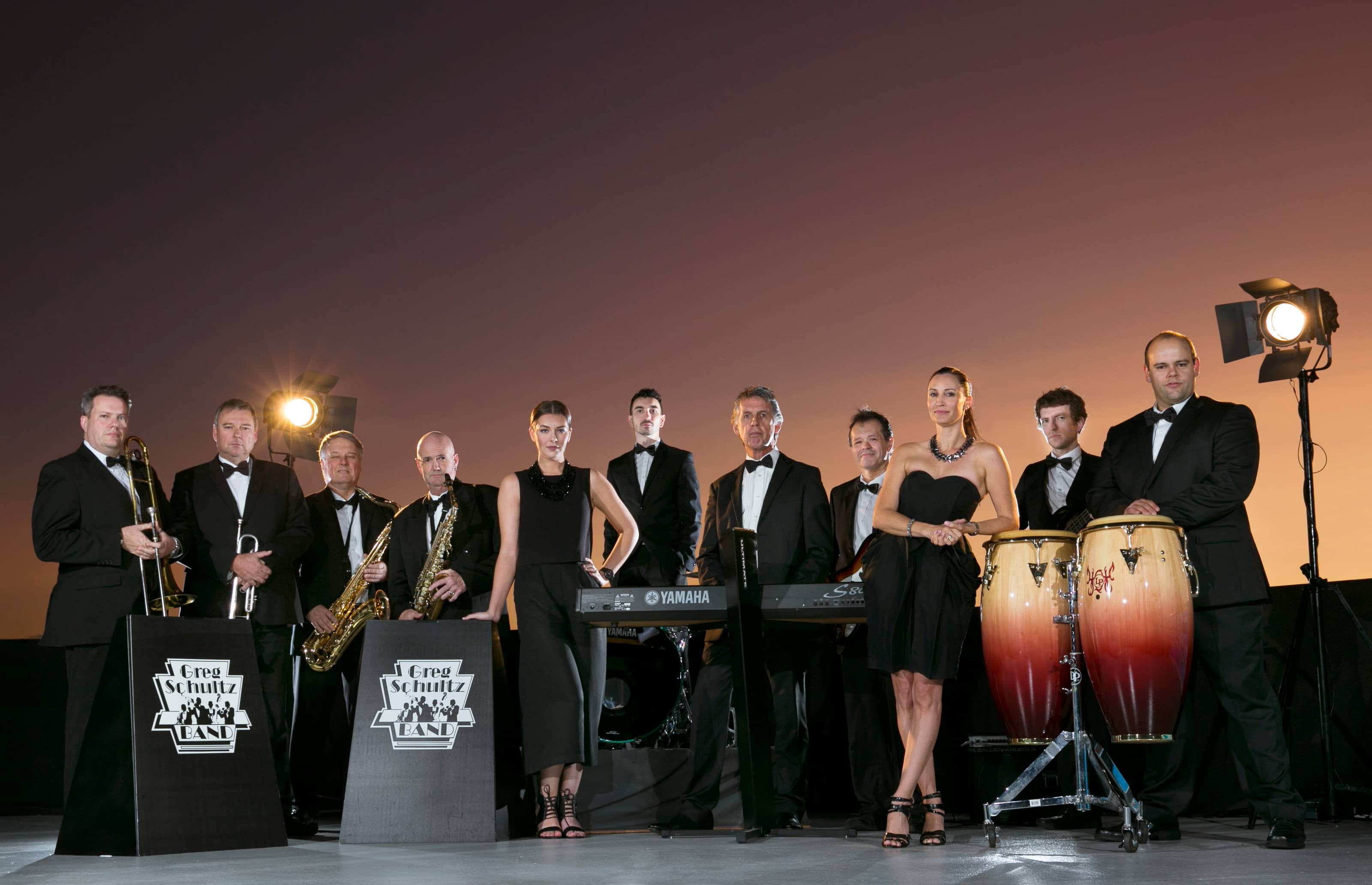 Details About - Greg Schultz Band