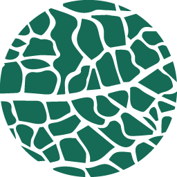 Fresh Ventures Studio