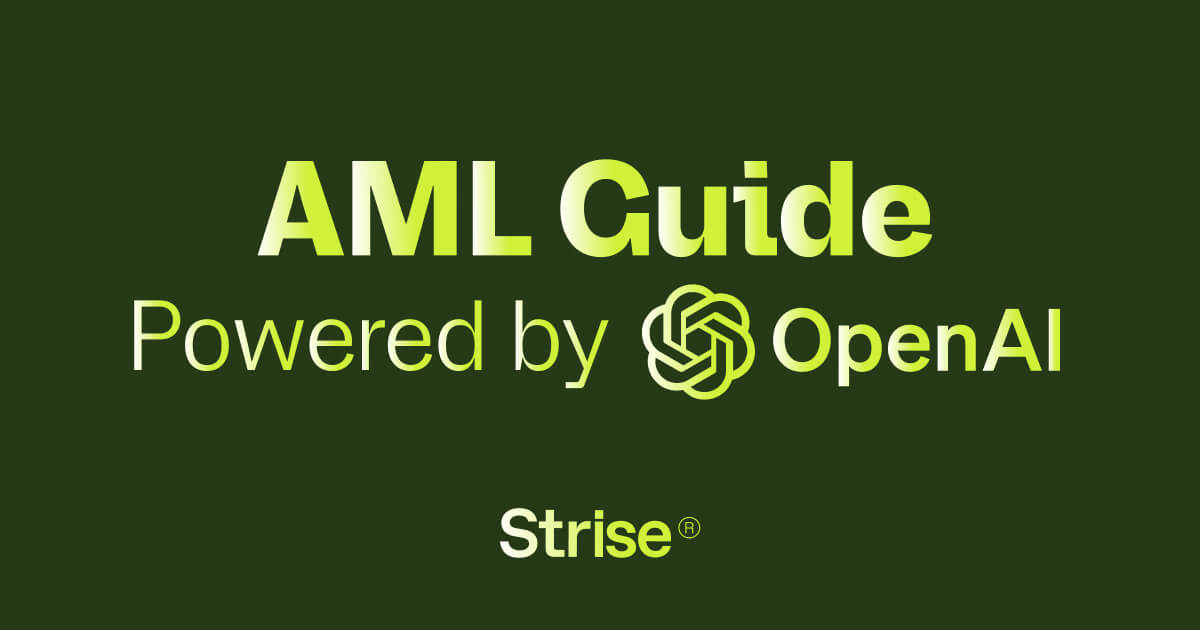 Your AML Guide — Strise®