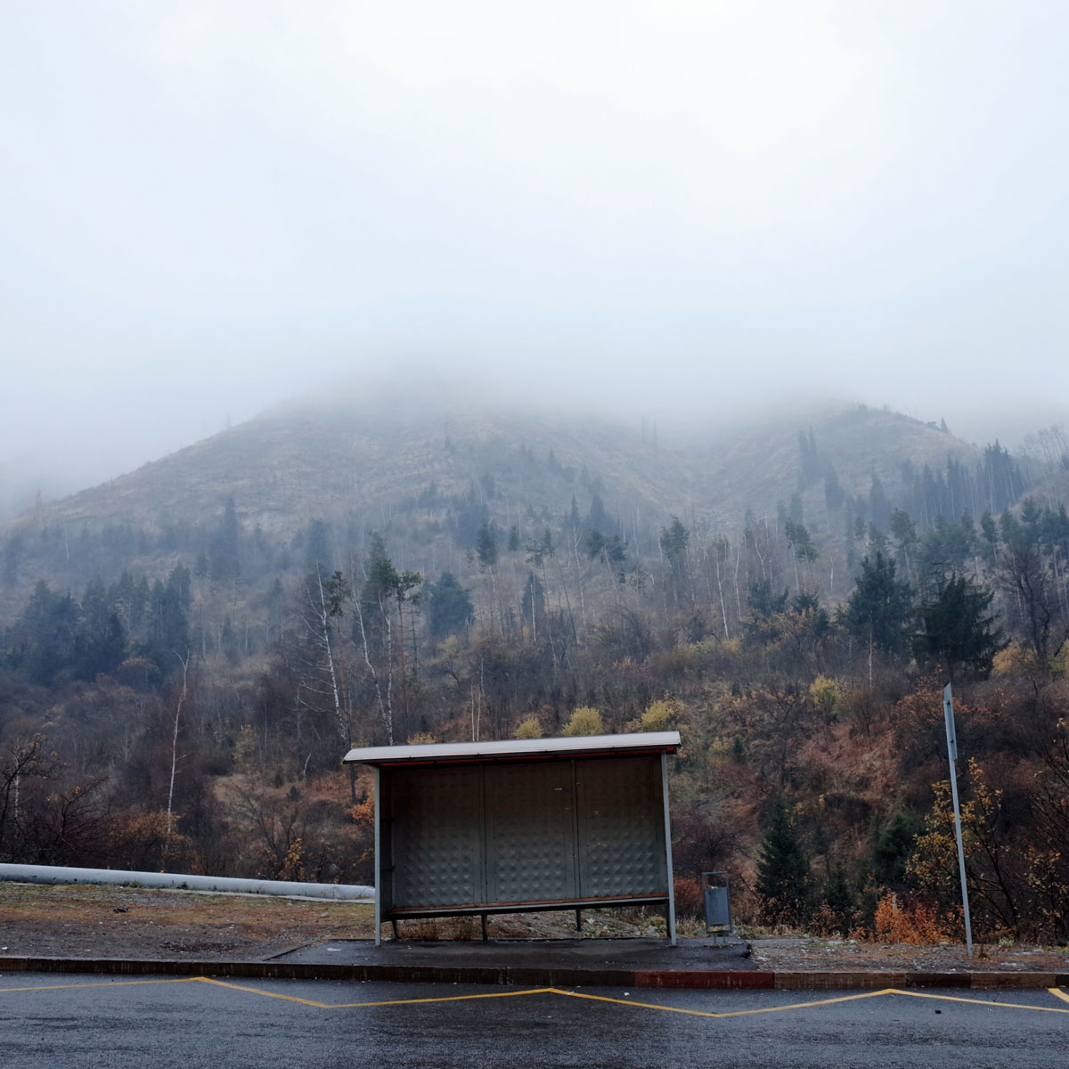 Liftango | The Benefits of Demand-Responsive Transport in Rural Areas