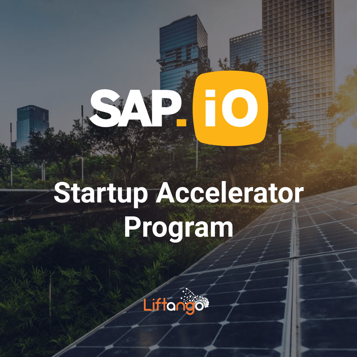 Liftango | Liftango Selected To Join Startup Accelerator, SAP.iO ...