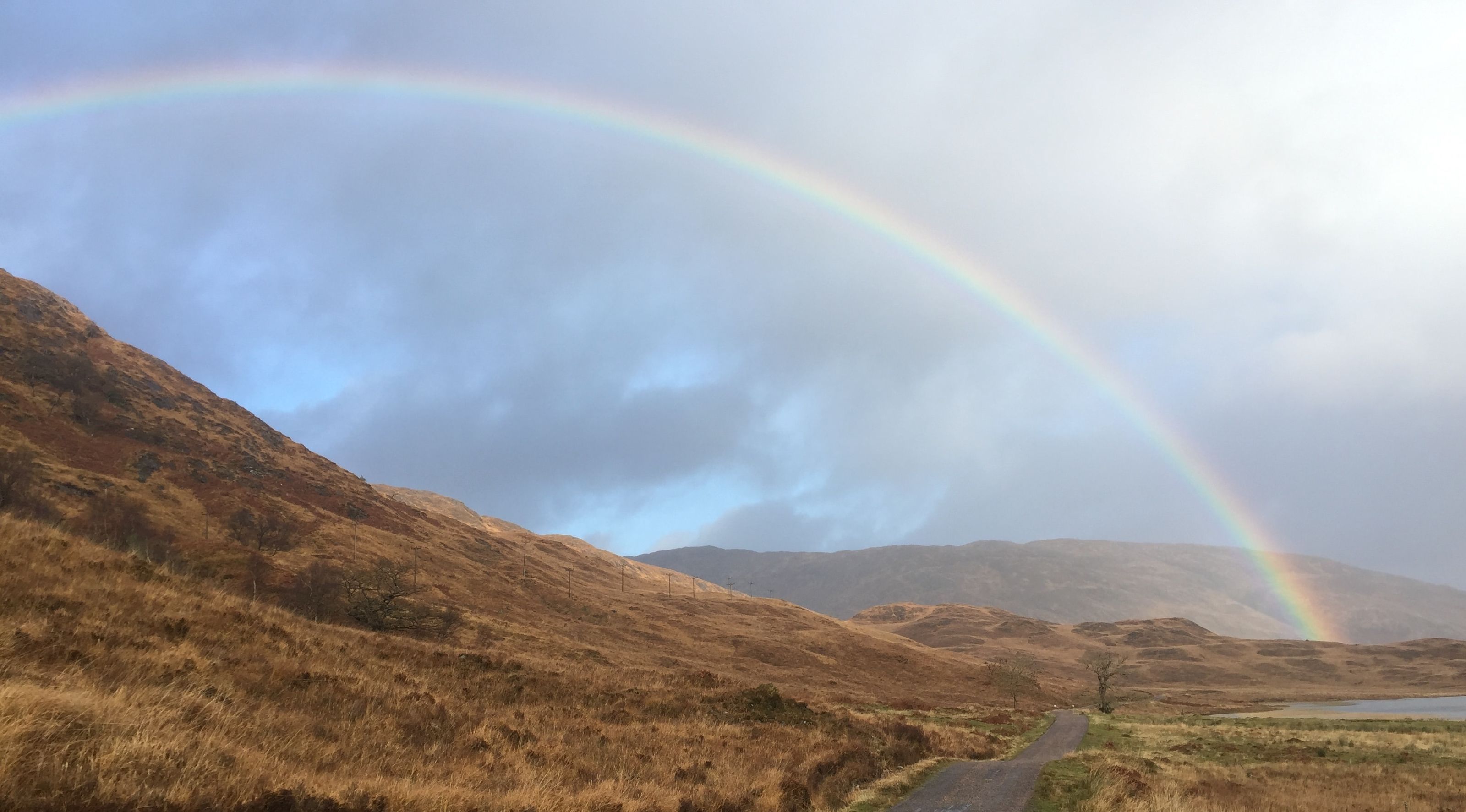 Liftango | Supporting Rural Communities to Build Sustainable Transport ...