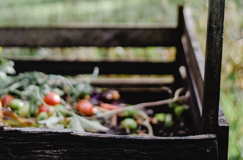 Compost Blog: Balancing your green and brown waste in your compost