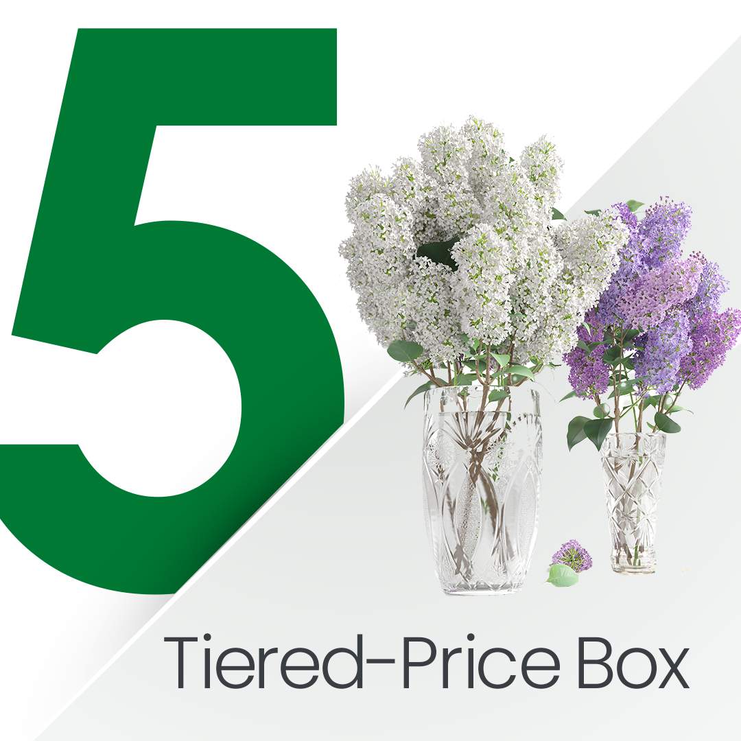 Choose the Best Subscription Type