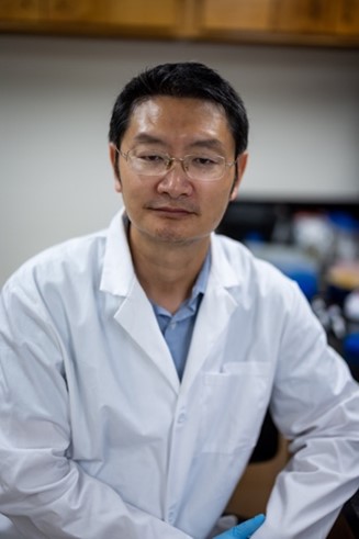 Louisiana Cancer Research Center