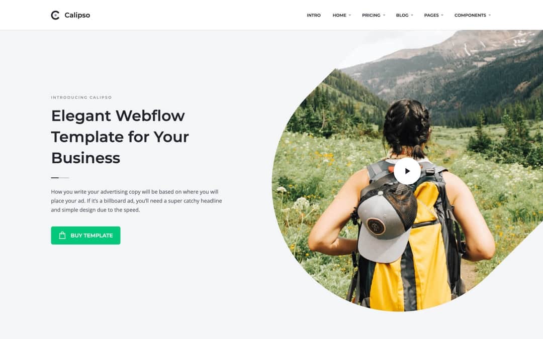 Calipso - Startup HTML5 Responsive Website Template