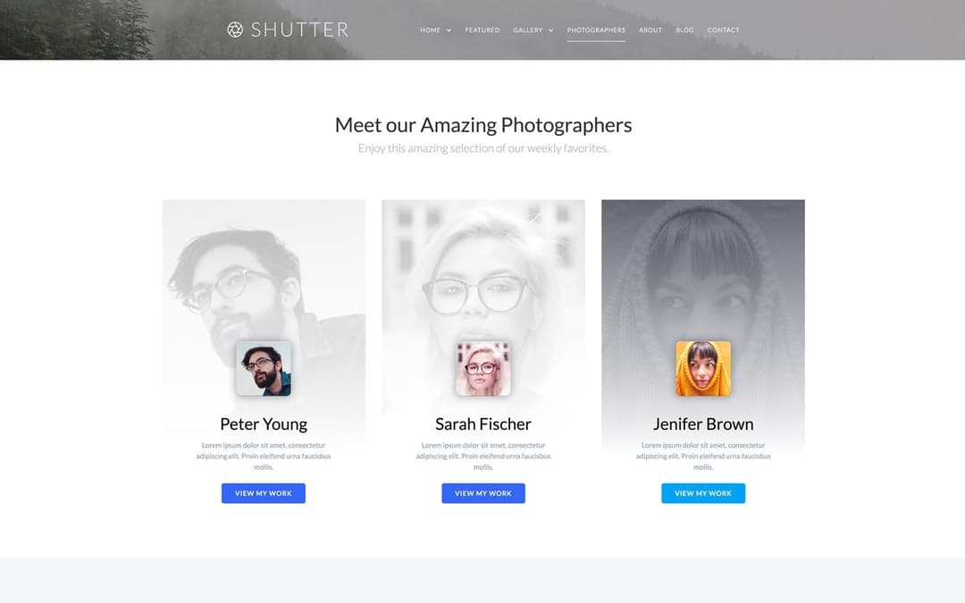 Shutter - Portfolio HTML5 Responsive Website Template