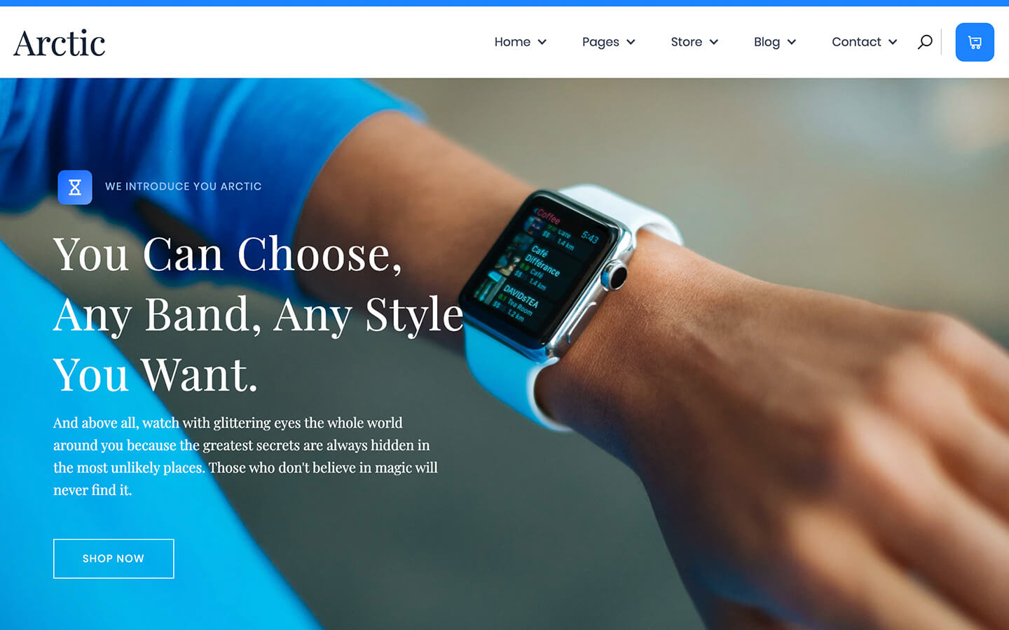 Arctic - Fashion HTML5 Responsive Website Template