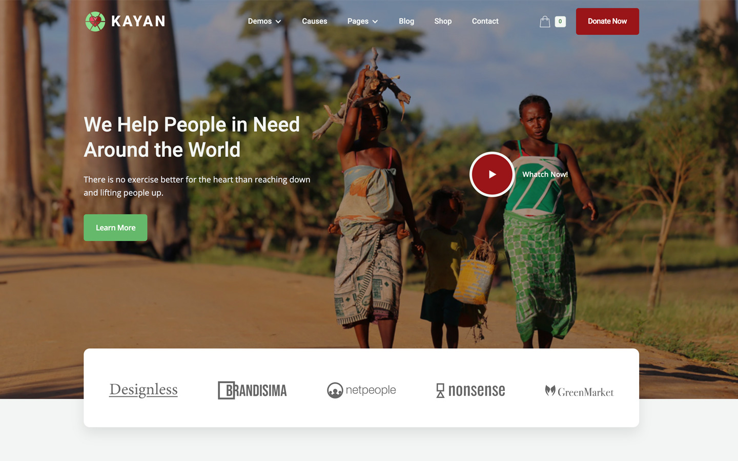 Kayan - Charity HTML5 Responsive Website Template