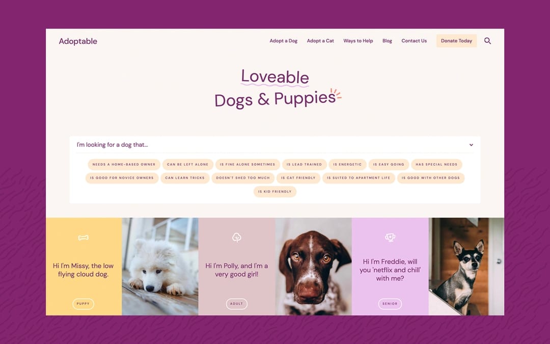 Adoptable - Pets HTML5 Responsive Website Template