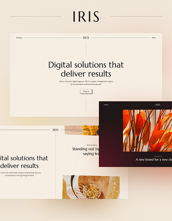 Iris - Agency HTML5 Responsive Website Template