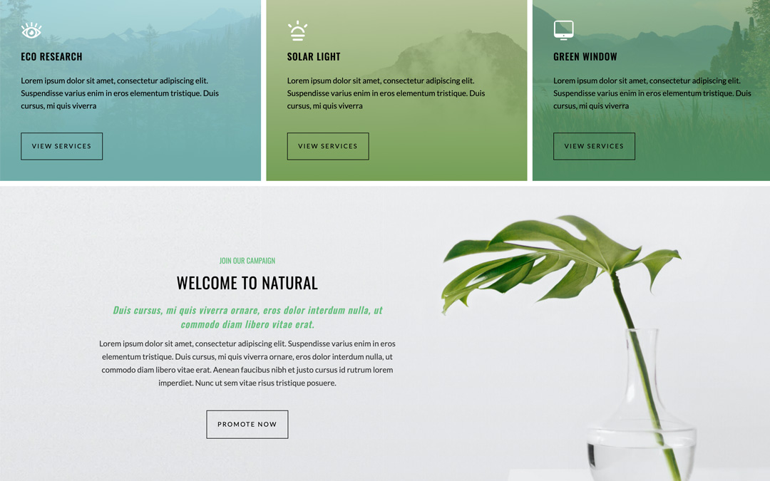Natural Ecommerce - Charity HTML5 Responsive Website Template