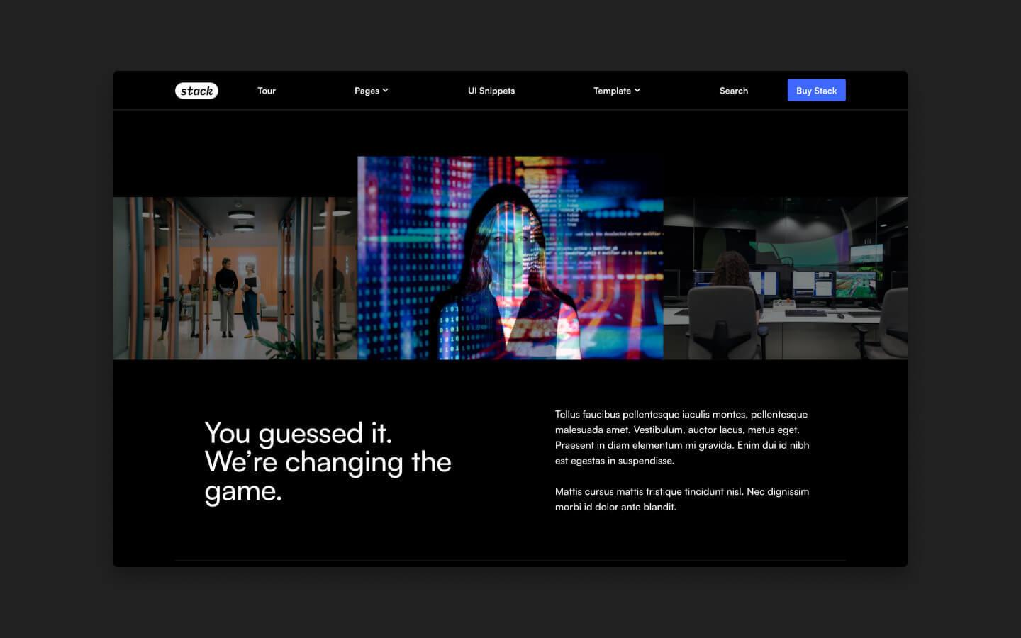 Stack Software Html5 Responsive Website Template