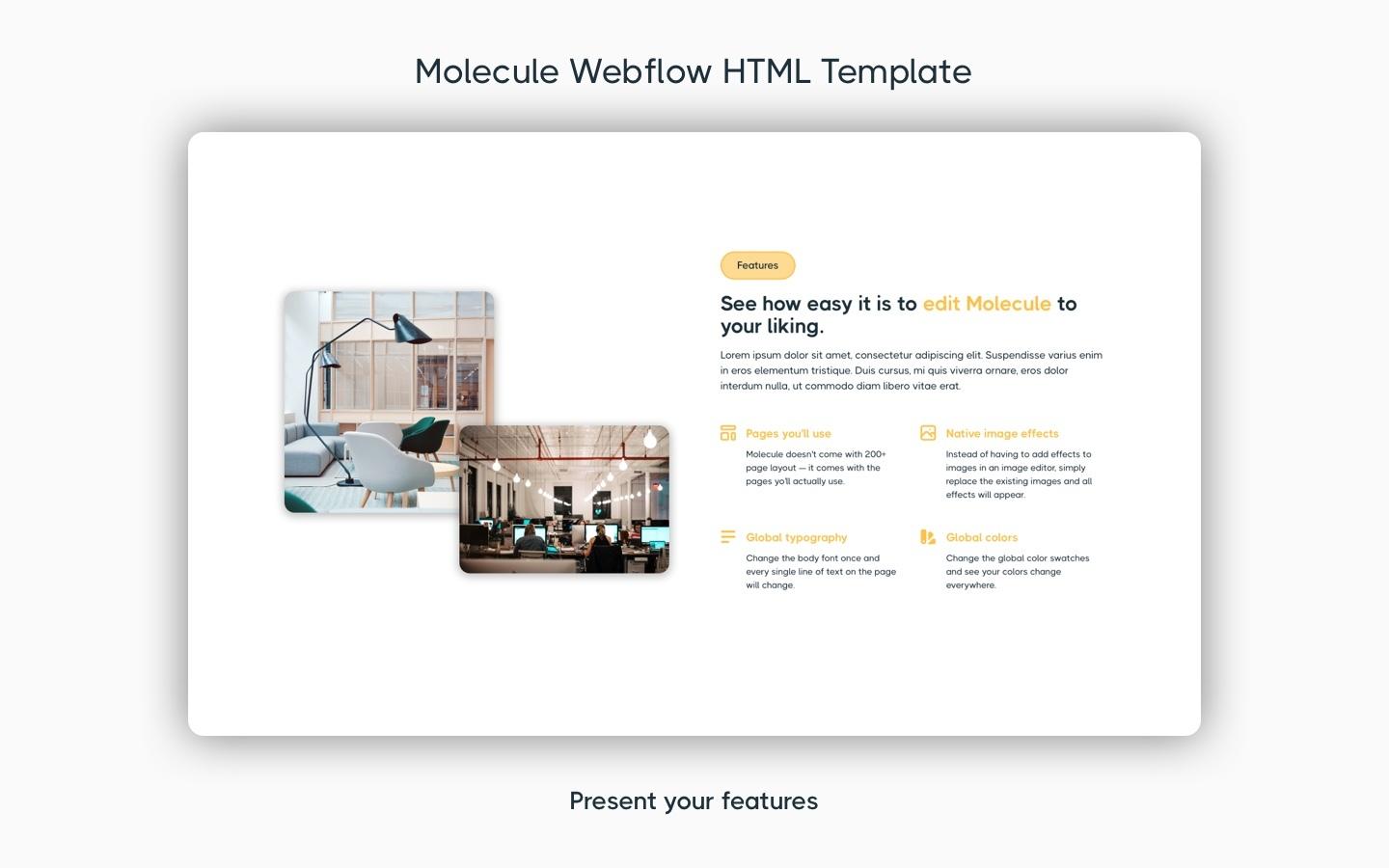 Molecule - Startup HTML5 Responsive Website Template