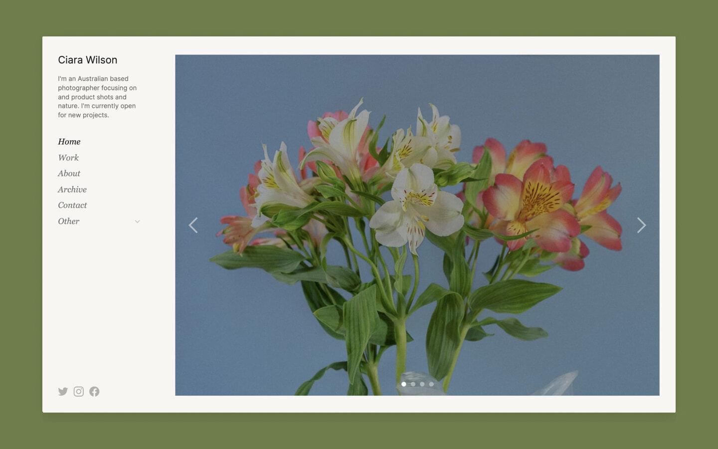 Snapshot - Photography HTML5 Responsive Website Template