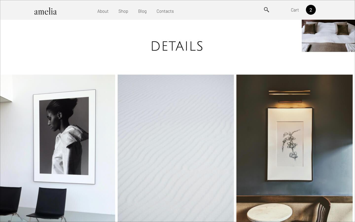 Amelia - Artist HTML5 Responsive Website Template