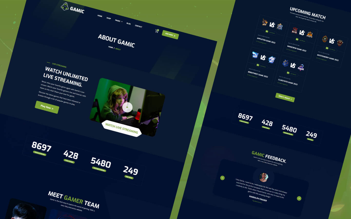 Gamic - Game HTML5 Responsive Website Template