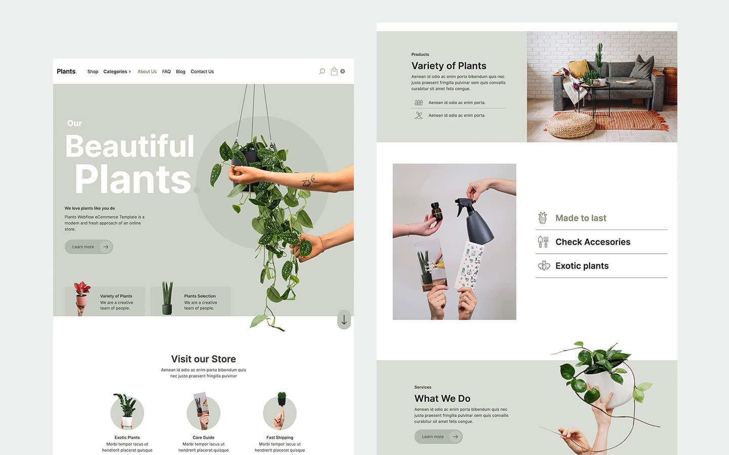 Plants - Florist HTML5 Responsive Website Template