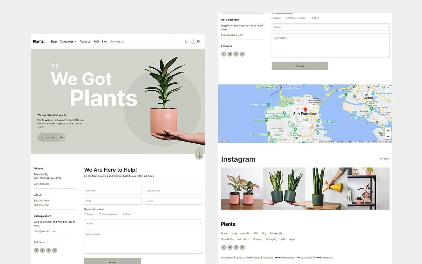 Plants - Florist HTML5 Responsive Website Template