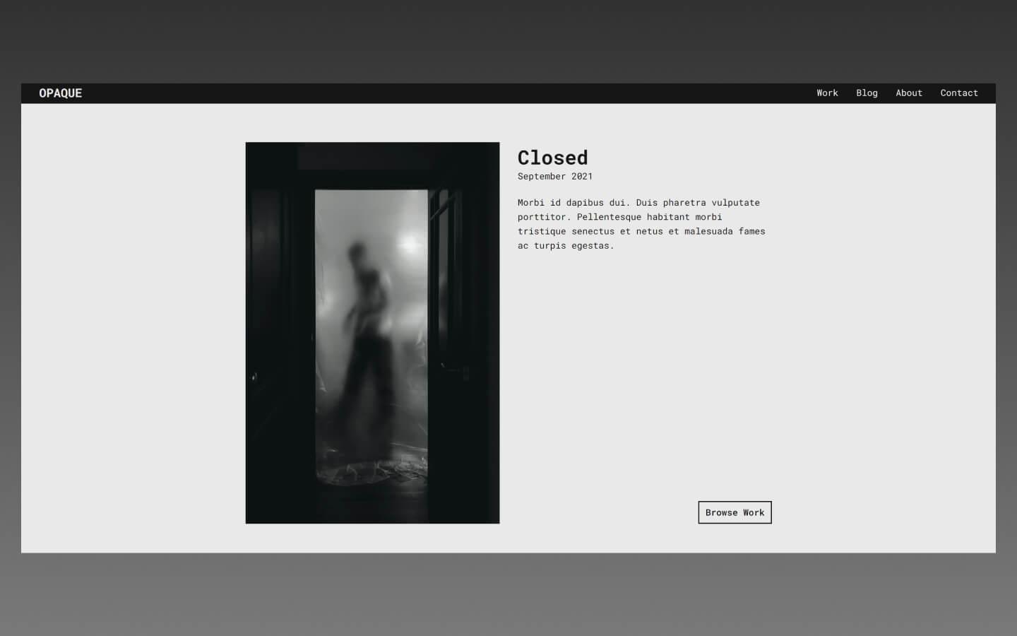 Opaque - Photography HTML5 Responsive Website Template