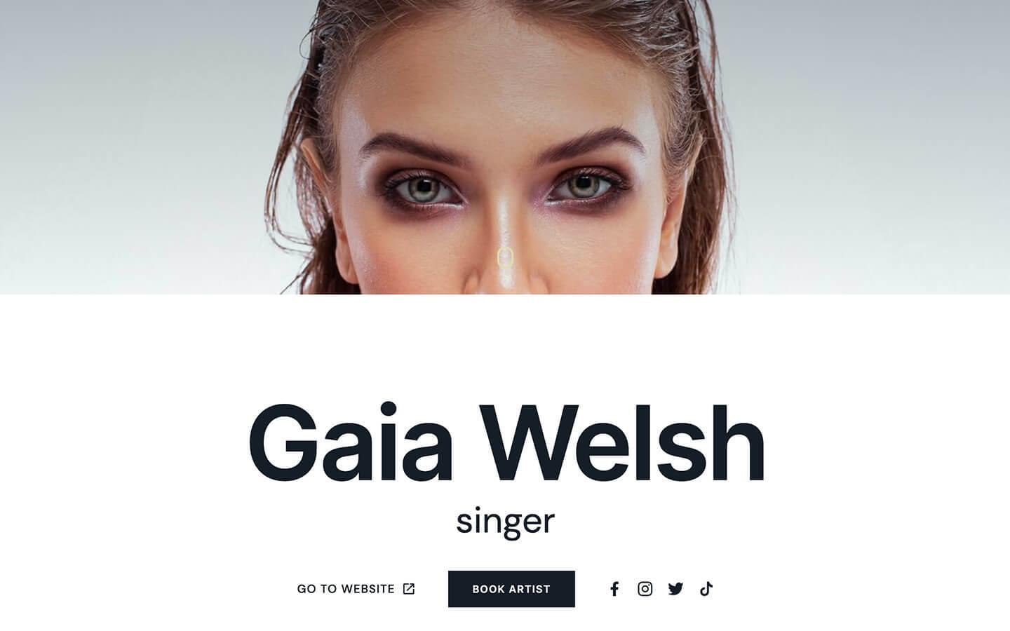 Artiz - Artist HTML5 Responsive Website Template