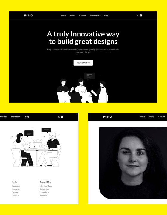 Ping - Startup HTML5 Responsive Website Template