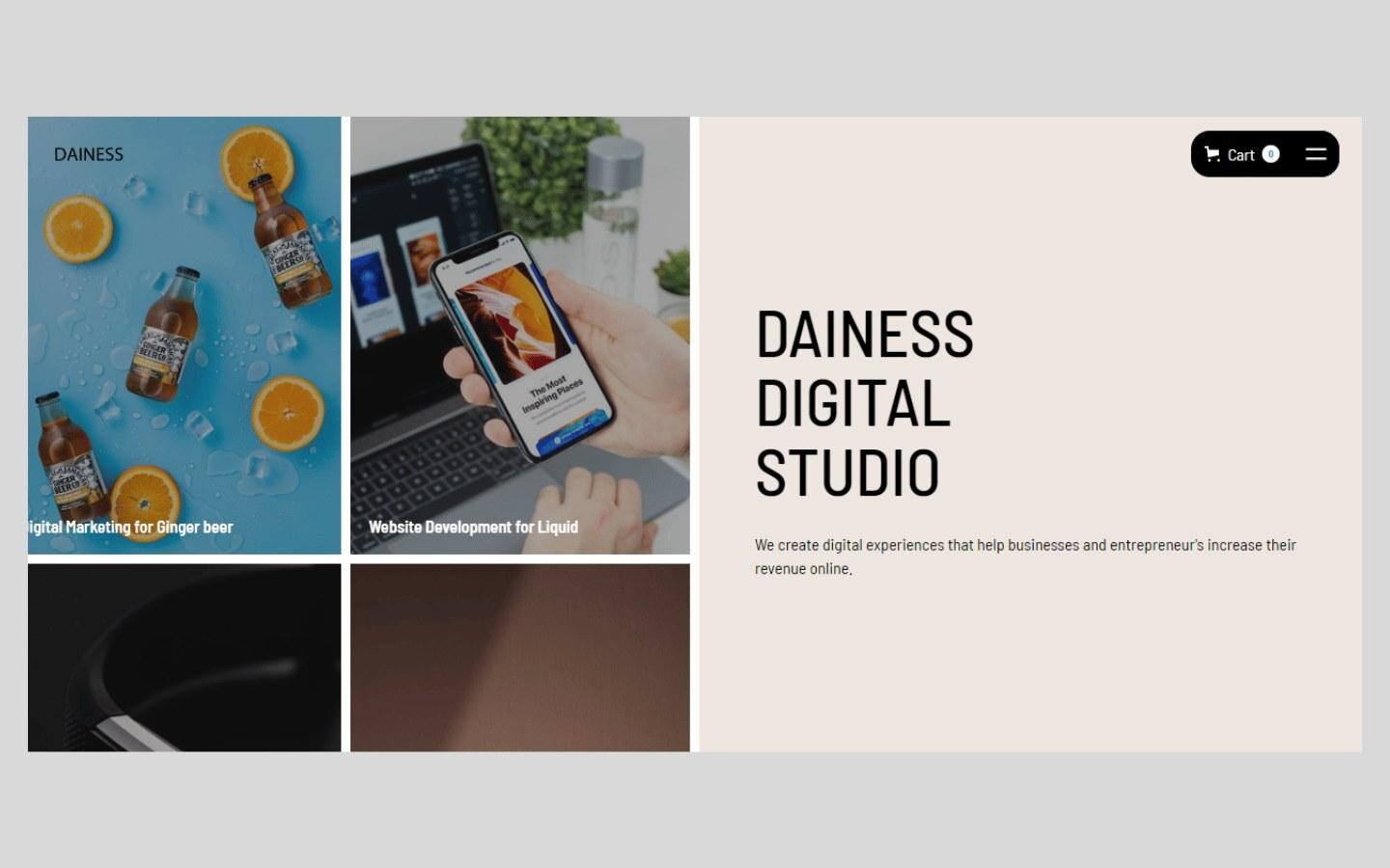 Dainess - Portfolio HTML5 Responsive Website Template