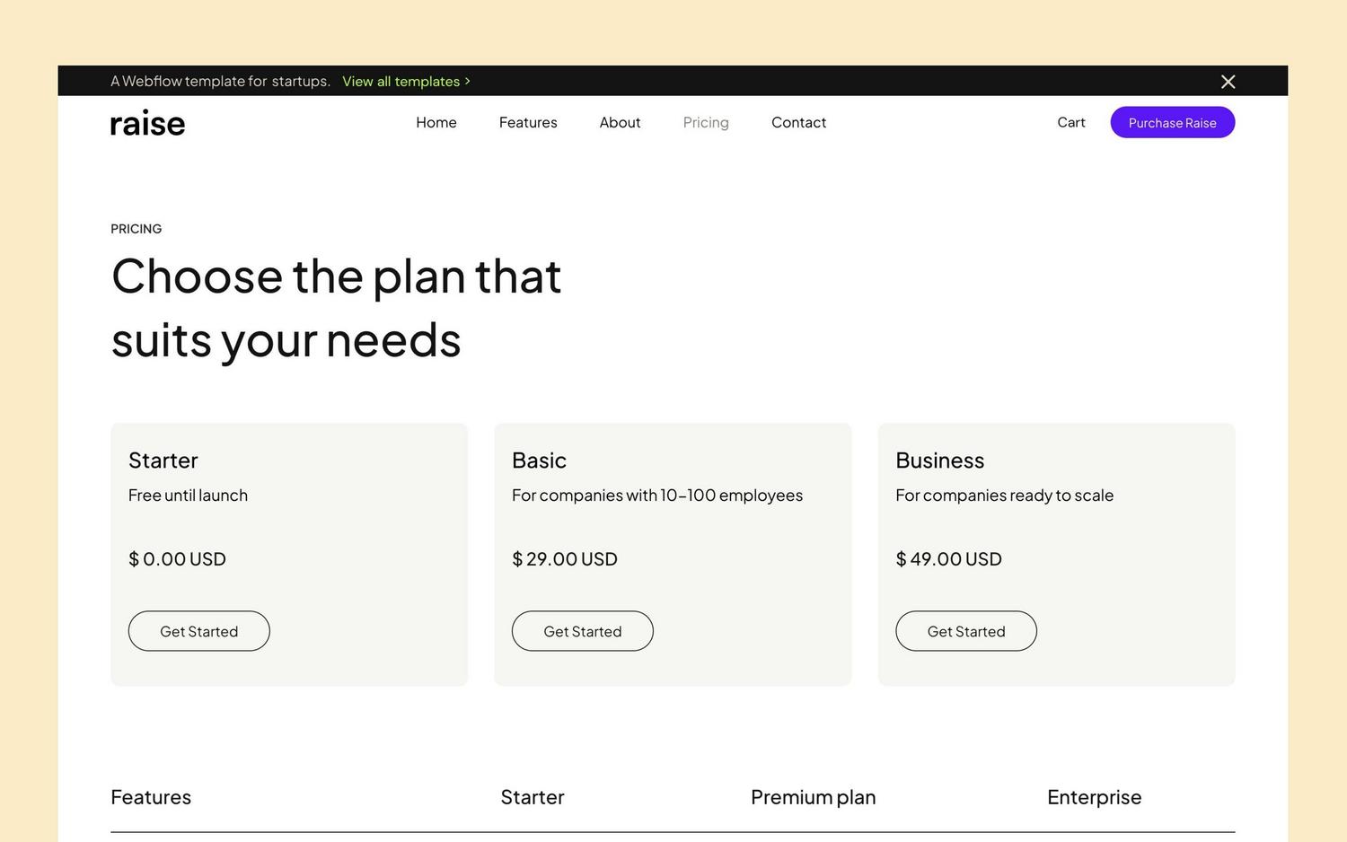 Raise - SaaS HTML5 Responsive Website Template