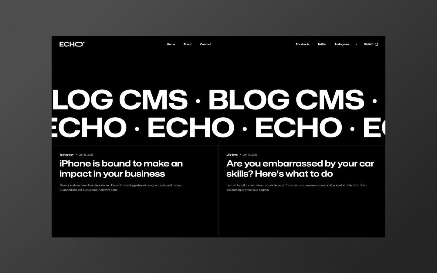 Echo - Blog HTML5 Responsive Website Template