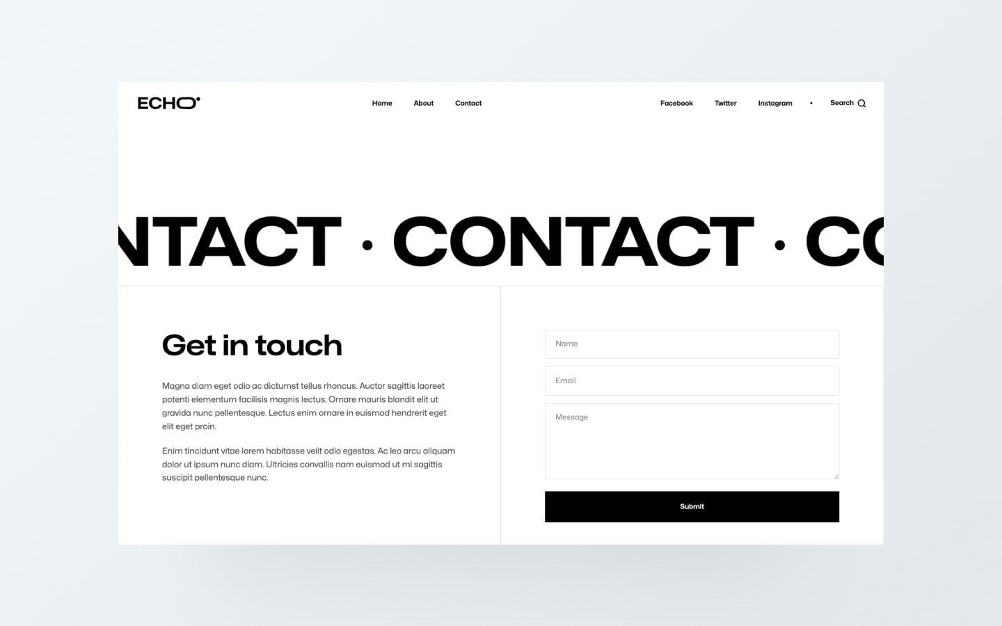 Echo - Blog HTML5 Responsive Website Template