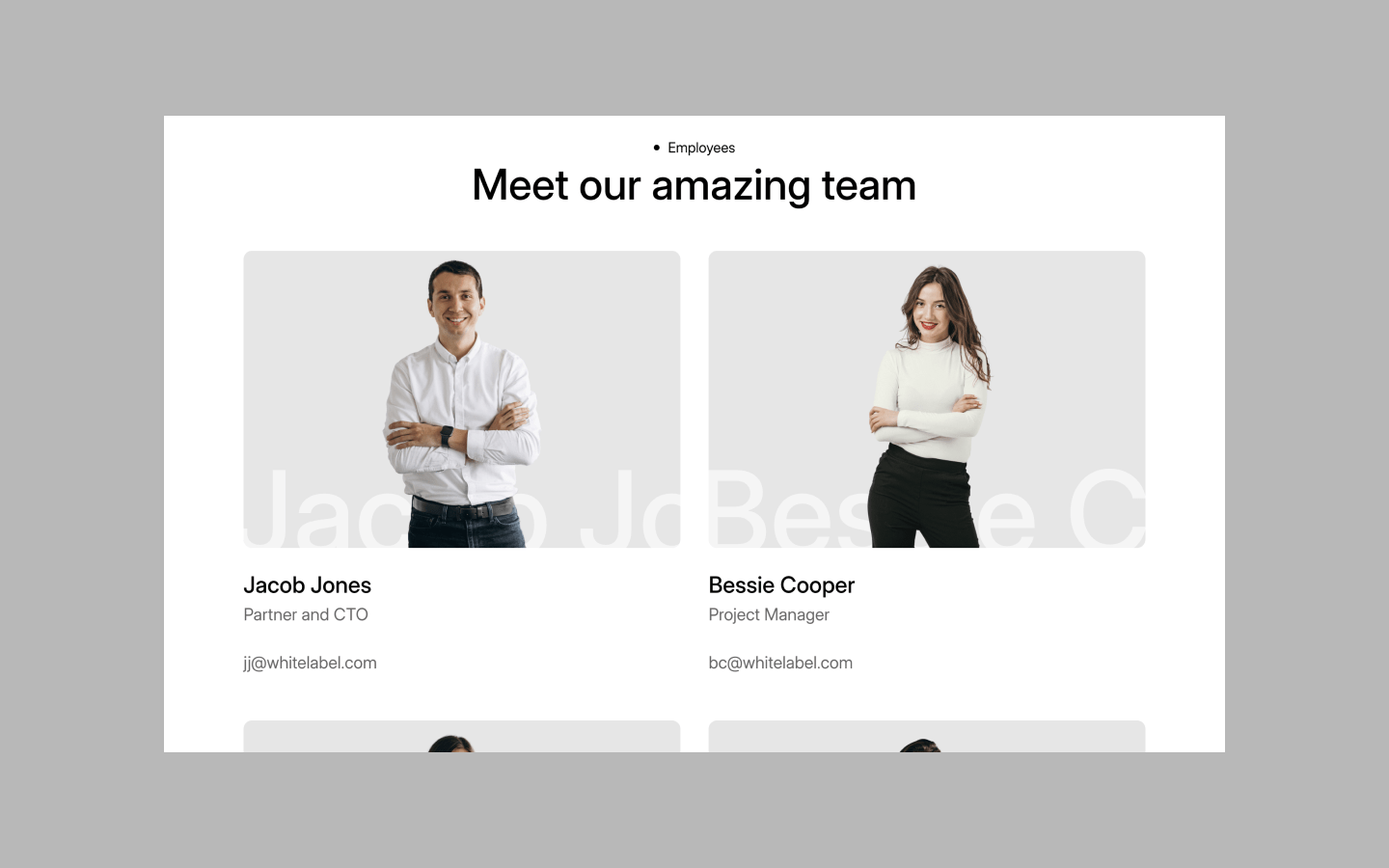 White Label - SaaS HTML5 Responsive Website Template