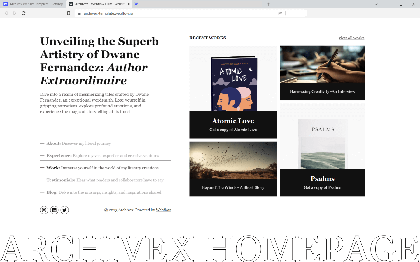 Archivex - Portfolio HTML5 Responsive Website Template