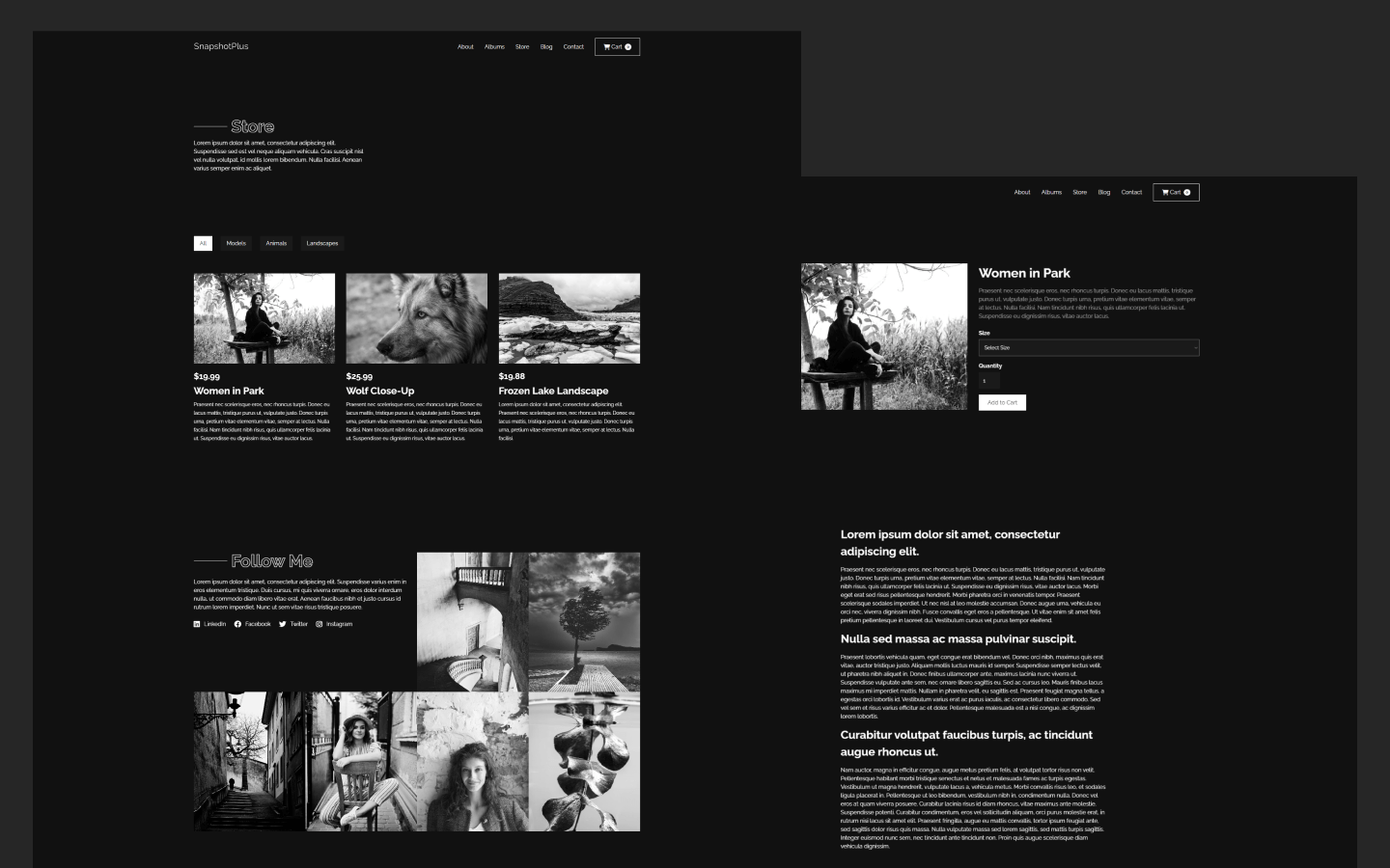 SnapshotPlus - Photography HTML5 Responsive Website Template