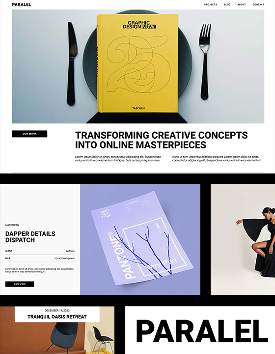 Paralel - Agency HTML5 Responsive Website Template