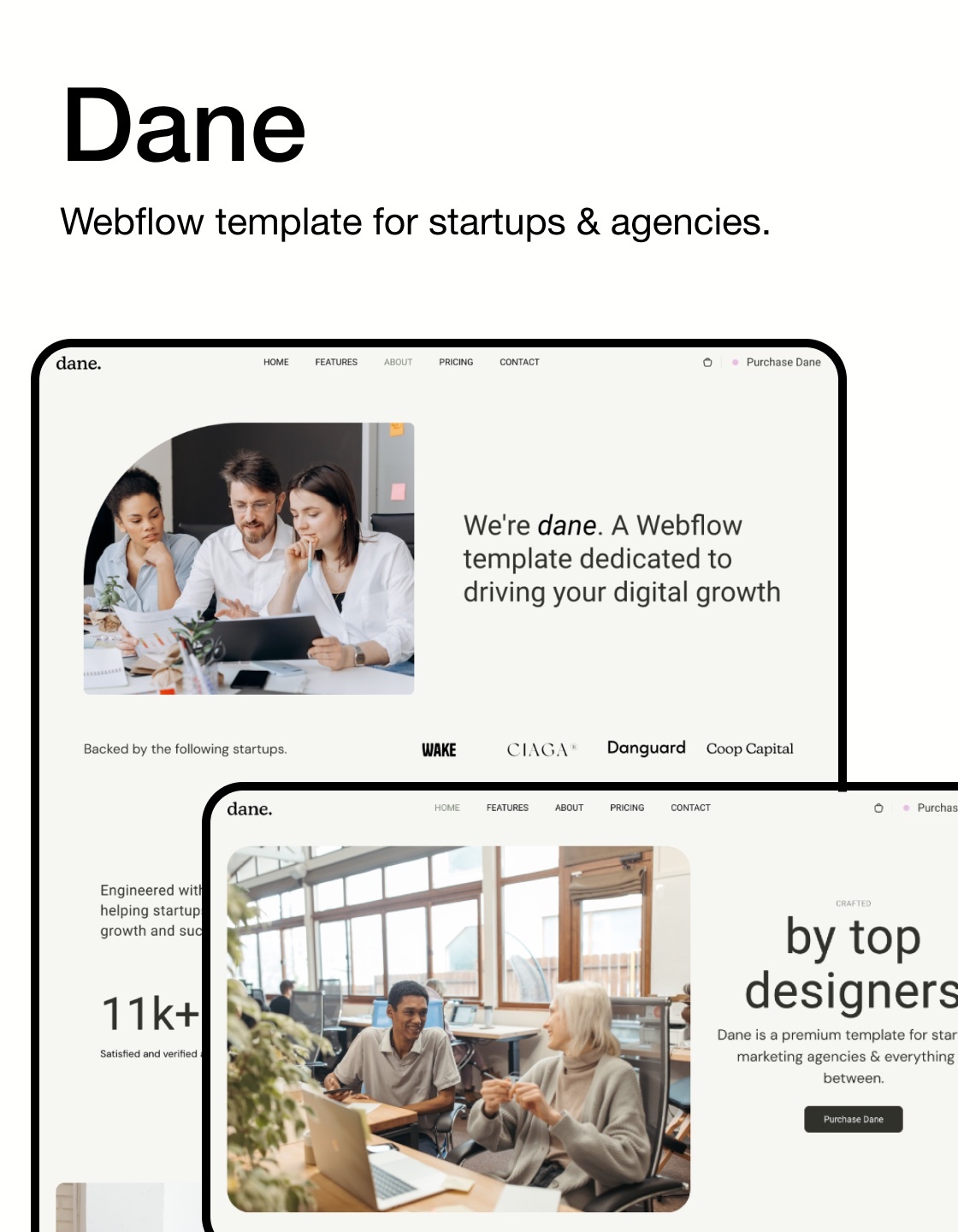 Dane by Erudite™ | Muzli Creative Store