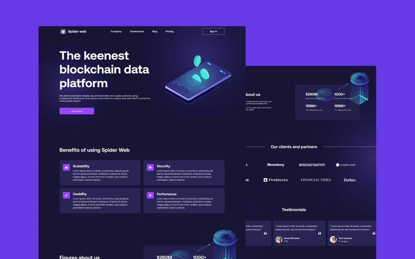 Spider Web - Technology HTML5 Responsive Website Template