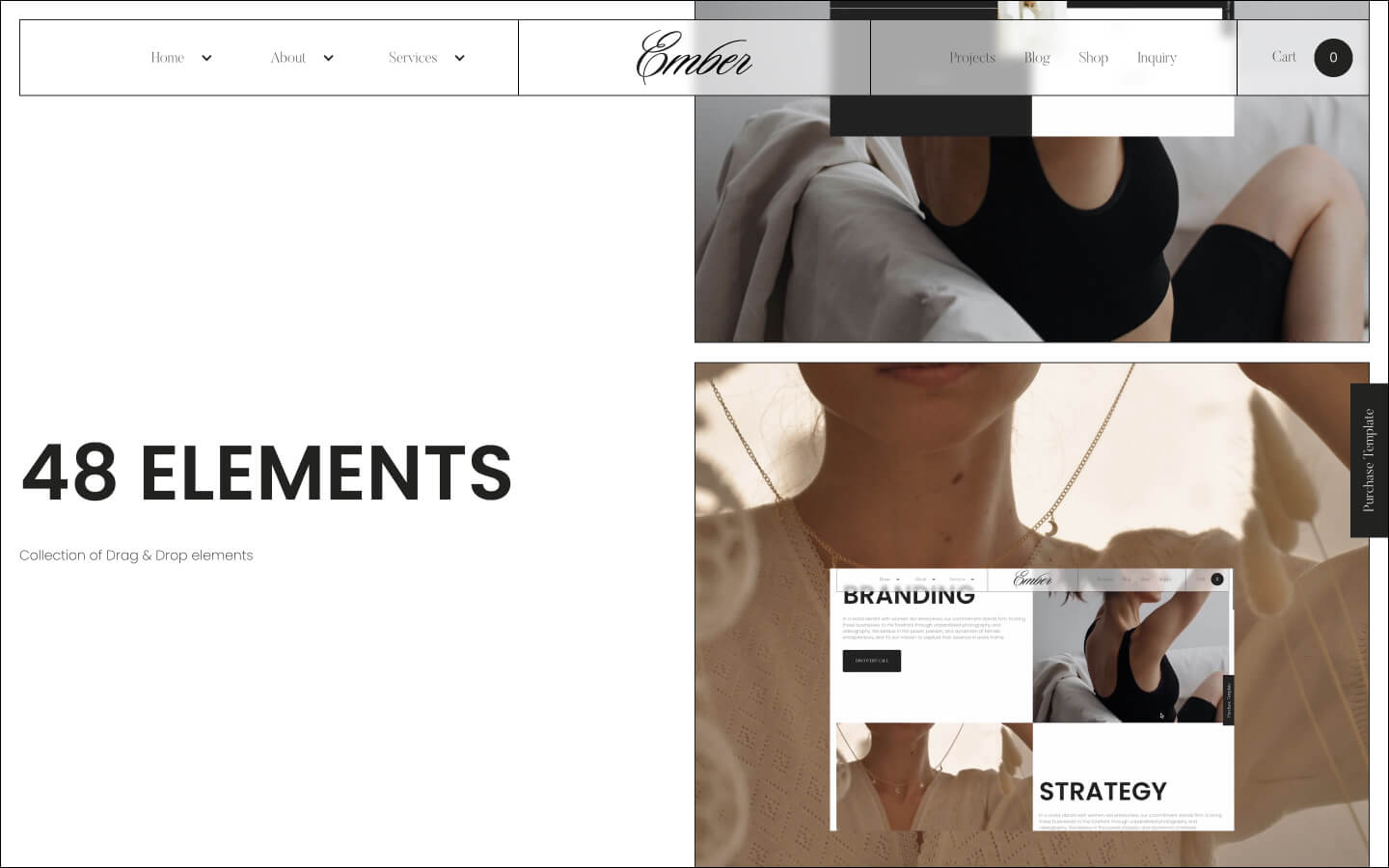 Ember Muse - Portfolio HTML5 Responsive Website Template