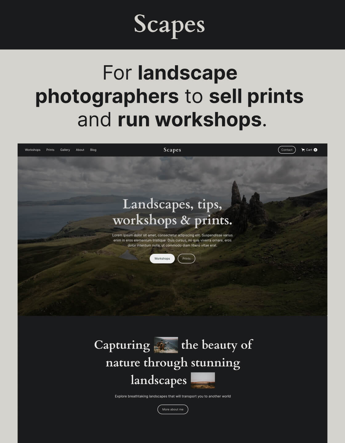 Scapes by Eight Pixel | Muzli Creative Store