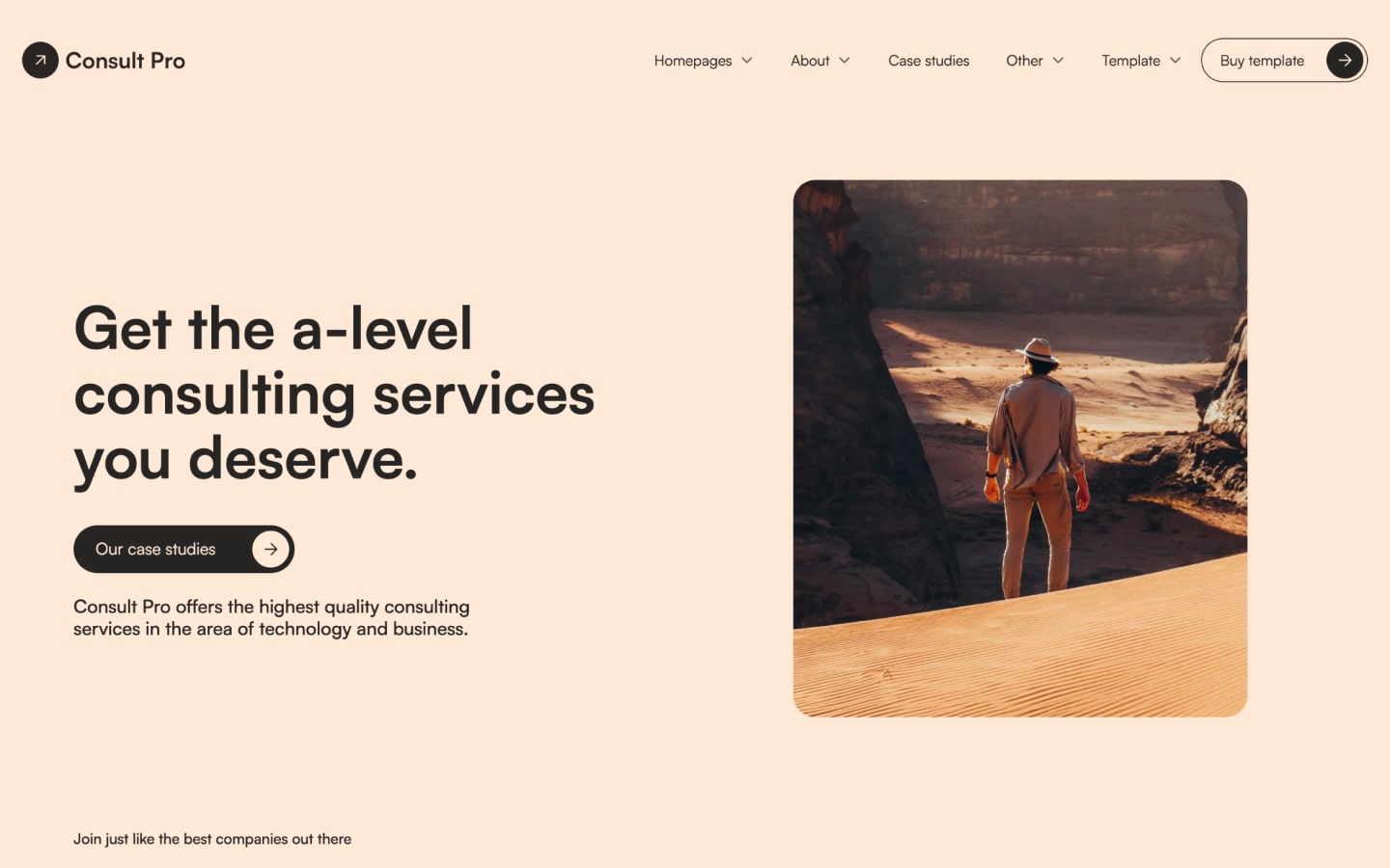 Consult Pro - Consulting HTML5 Responsive Website Template