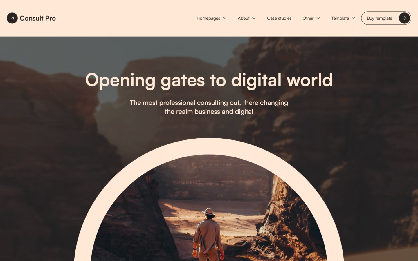 Consult Pro - Consulting HTML5 Responsive Website Template