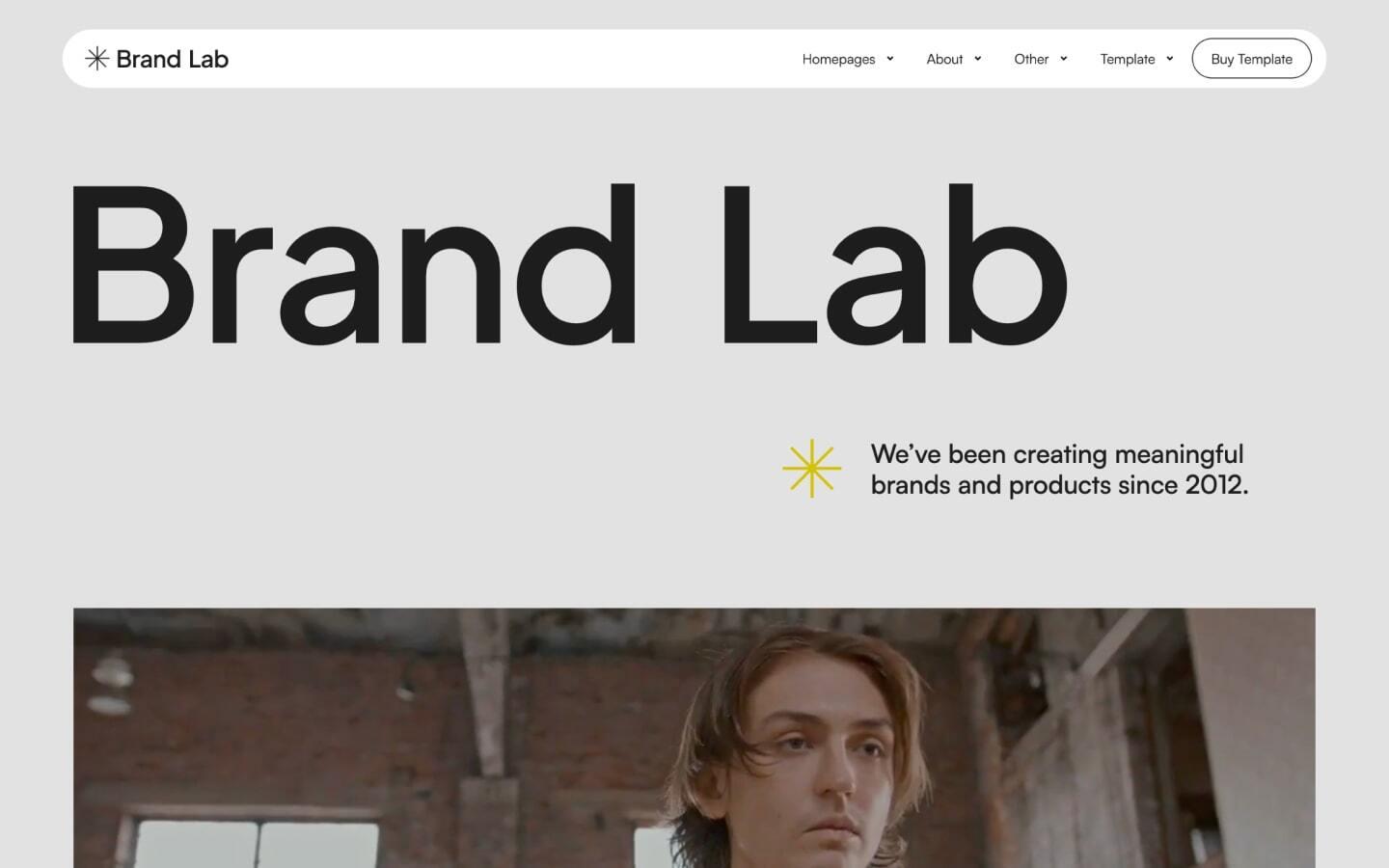 Brand Lab - Agency HTML5 Responsive Website Template