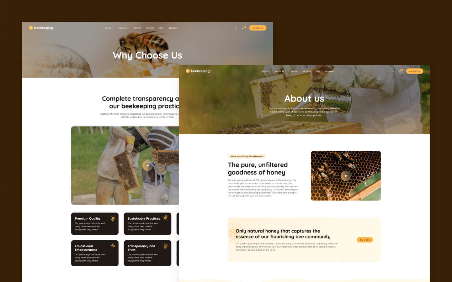 Beekeeping - Small Business HTML5 Responsive Website Template