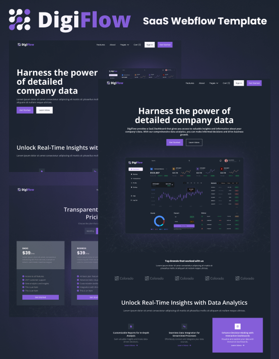 DigiFlow - SaaS HTML5 Responsive Website Template