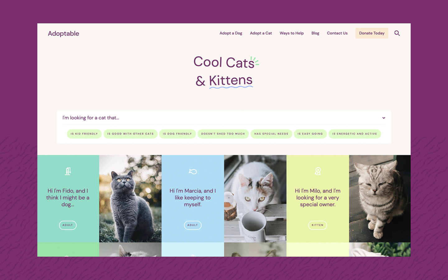 Adoptable - Pets HTML5 Responsive Website Template