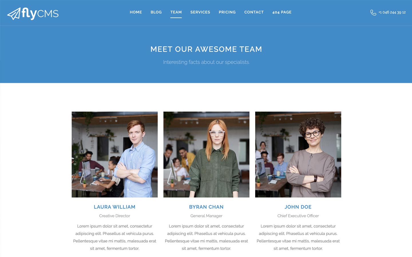 Fly CMS - Corporate HTML5 Responsive Website Template